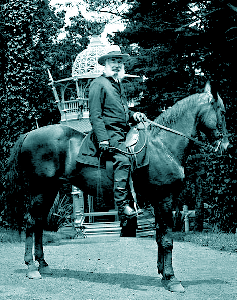 Sutro Forest | Here Lies a Story